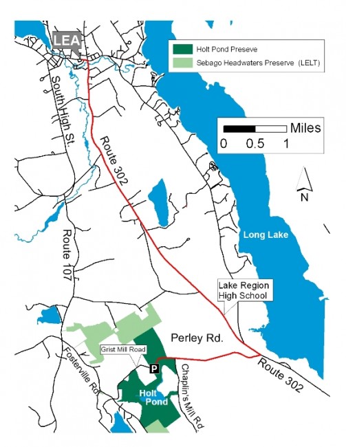 Maine Lakes Holt Pond Preserve