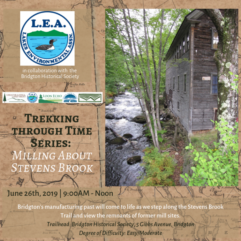 Maine Lakes Milling About the Stevens Brook