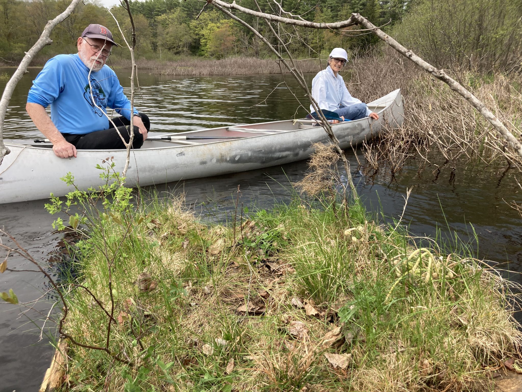 Maine Lakes Maine Loon Restoration Project