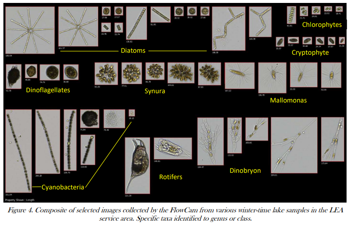 Maine Lakes Long Lake Algae and Fluorometer Main Basin