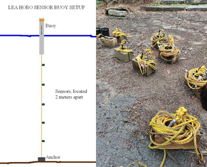 Maine Lakes High-Resolution Temperature Monitoring