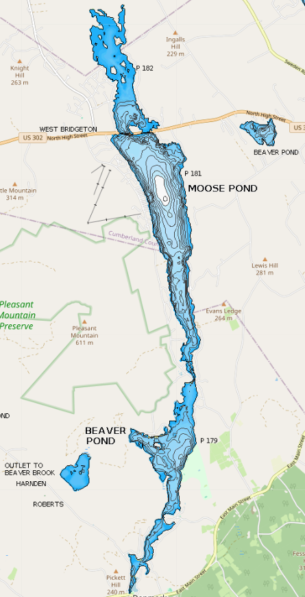 Maine Lakes Moose Pond