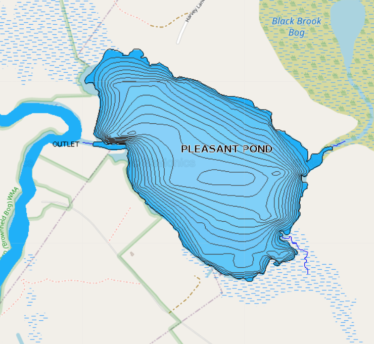 Maine Lakes Pleasant Pond