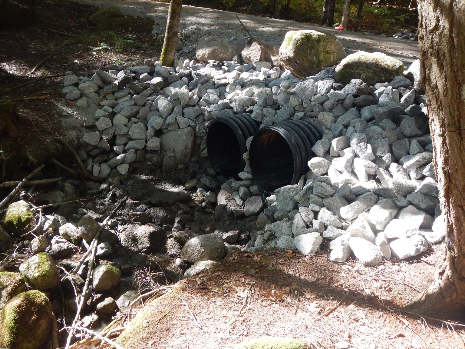 Maine Lakes Understanding Maine’s Stormwater Laws: Public Training