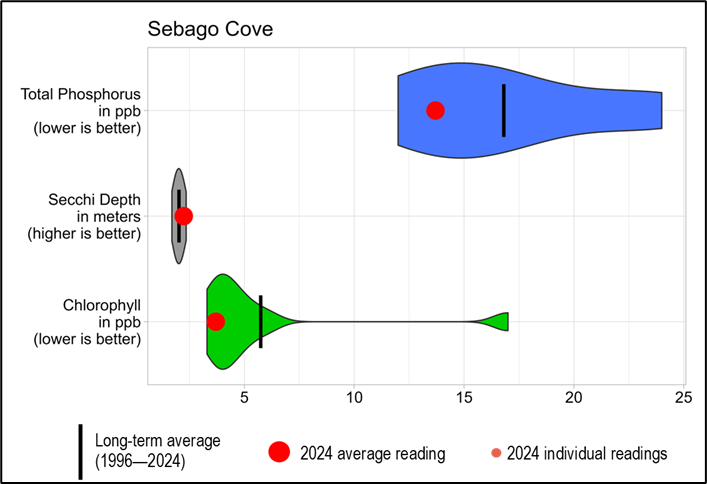 Maine Lakes Sebago Cove Water Quality