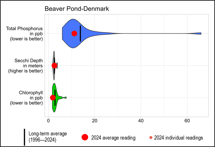 Maine Lakes Beaver Pond -Denmark- Water Quality